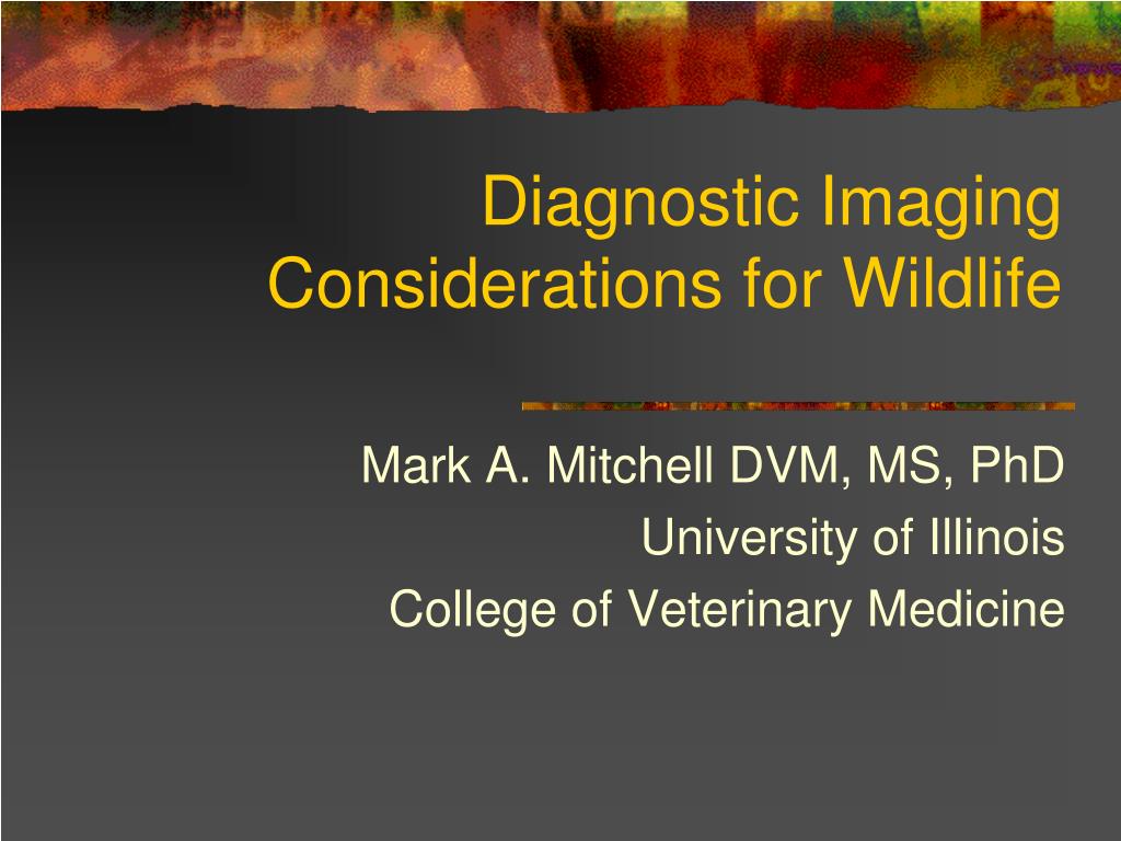 PPT - Diagnostic Imaging Considerations for Wildlife PowerPoint ...
