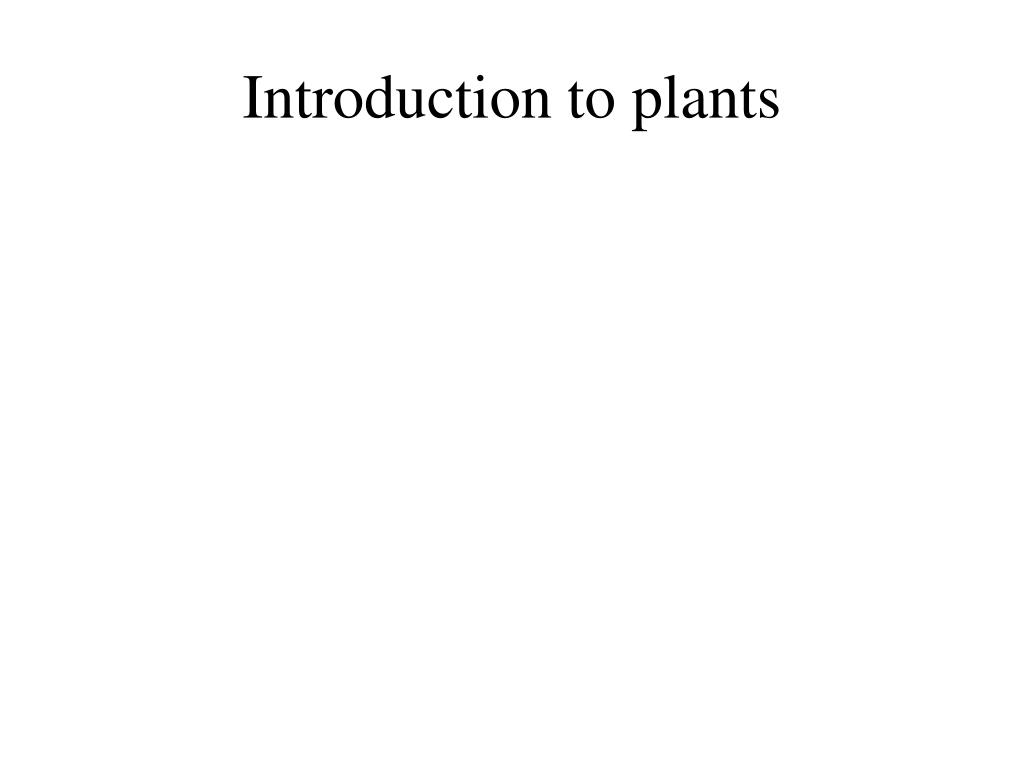 PPT - Introduction to plants PowerPoint Presentation, free download ...
