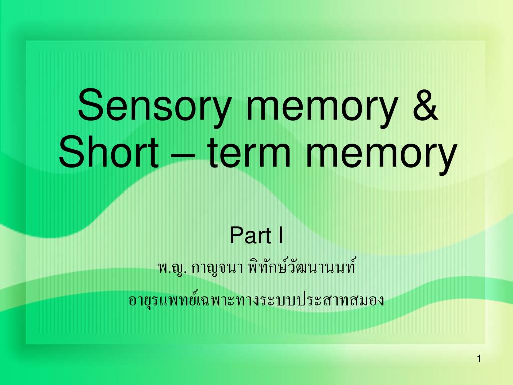 PPT - Sensory memory & Short – term memory PowerPoint Presentation - ID ...