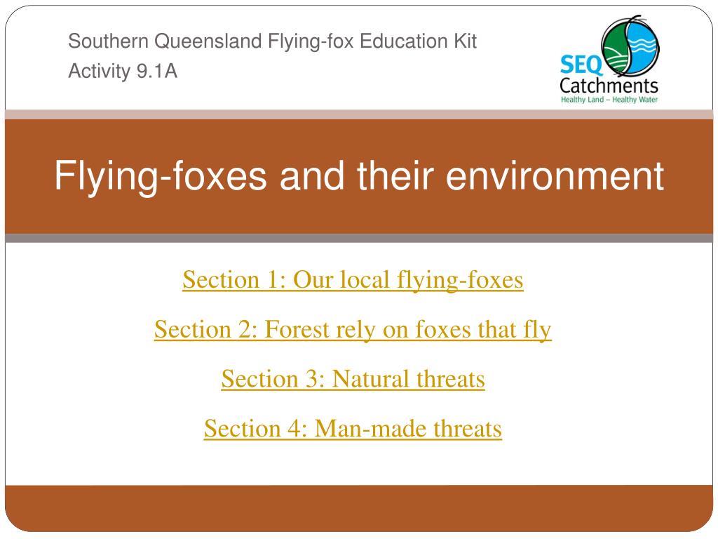 PPT - Flying-foxes and their environment PowerPoint Presentation, free ...