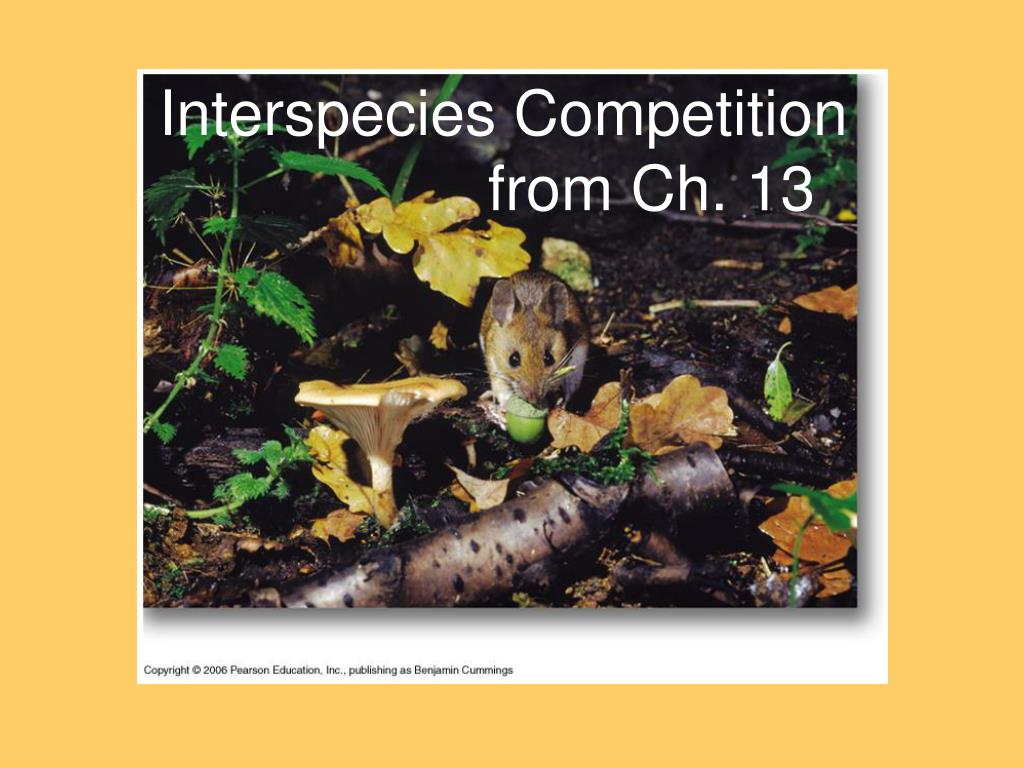 PPT - Interspecies Competition from Ch. 13 PowerPoint Presentation ...