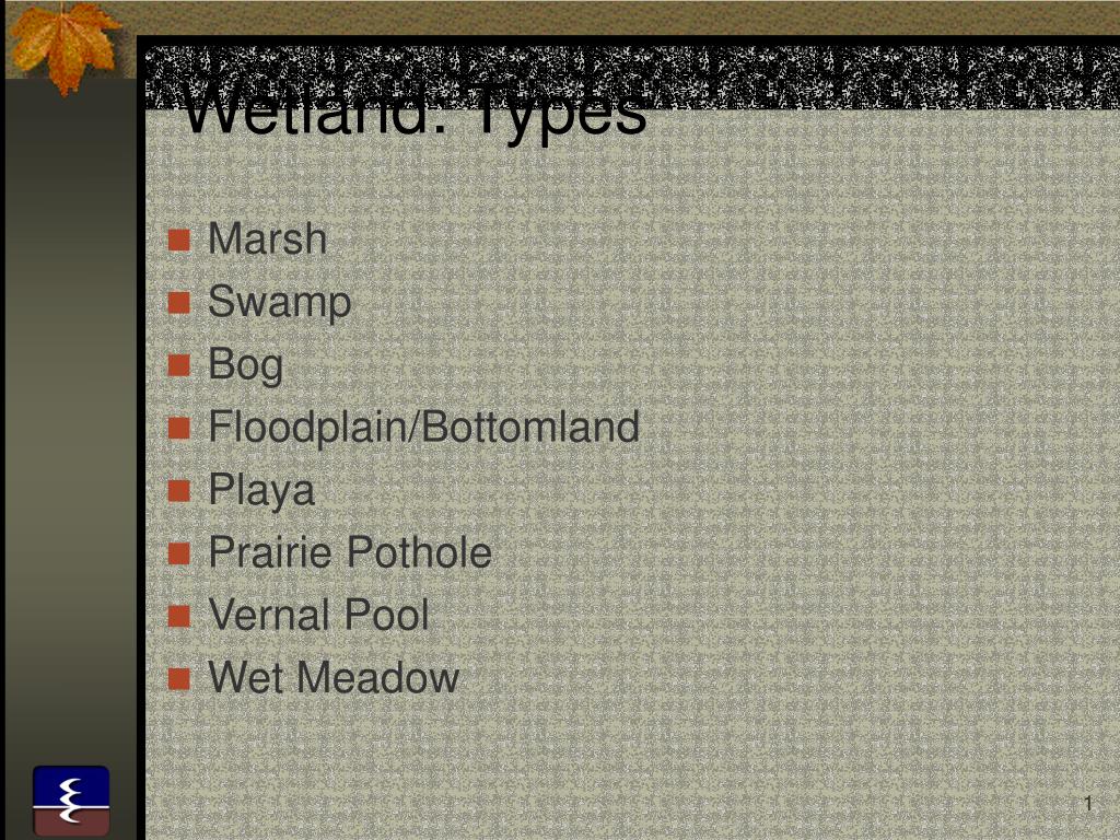 PPT - Wetland: Types PowerPoint Presentation, free download - ID:663344