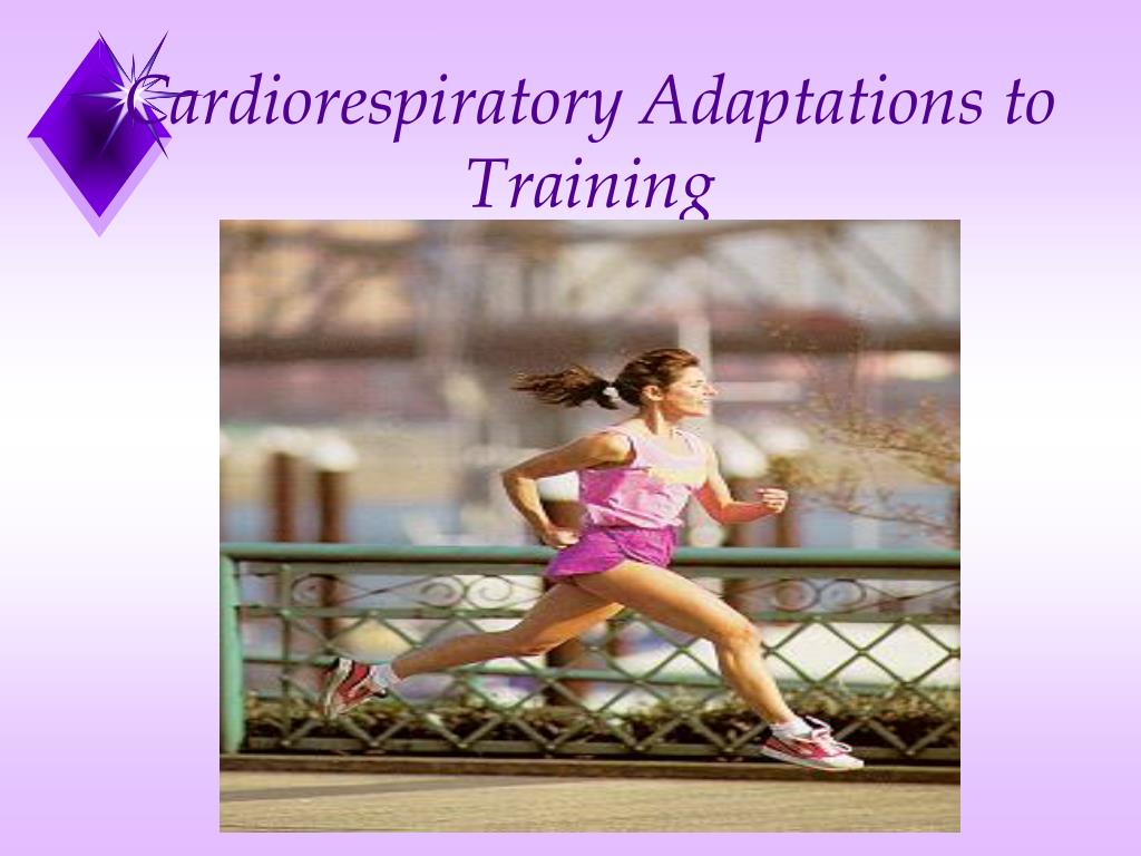 PPT - Cardiorespiratory Adaptations to Training PowerPoint Presentation ...