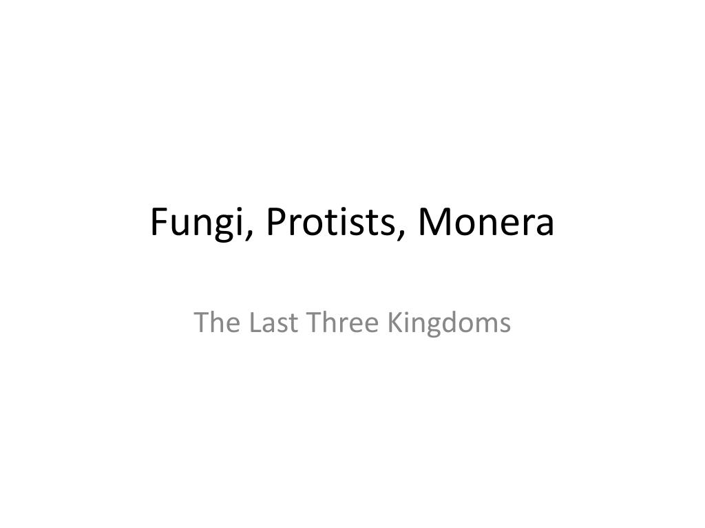 PPT - Fungi, Protists, Monera PowerPoint Presentation, free download ...