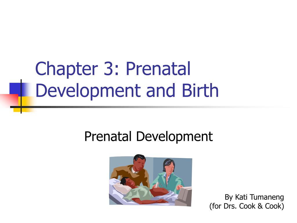 PPT - Chapter 3: Prenatal Development and Birth PowerPoint Presentation ...