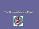 PPT - The Human Genome Project PowerPoint Presentation, free download ...
