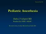 PPT - Pediatric Regional Anesthesia Caudal Anesthesia PowerPoint ...