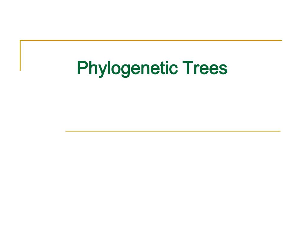 PPT - Phylogenetic Trees PowerPoint Presentation, free download - ID:672063