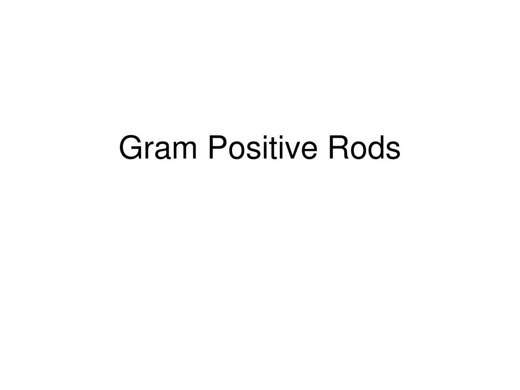 PPT - Gram Positive Rods PowerPoint Presentation, free download - ID:673143