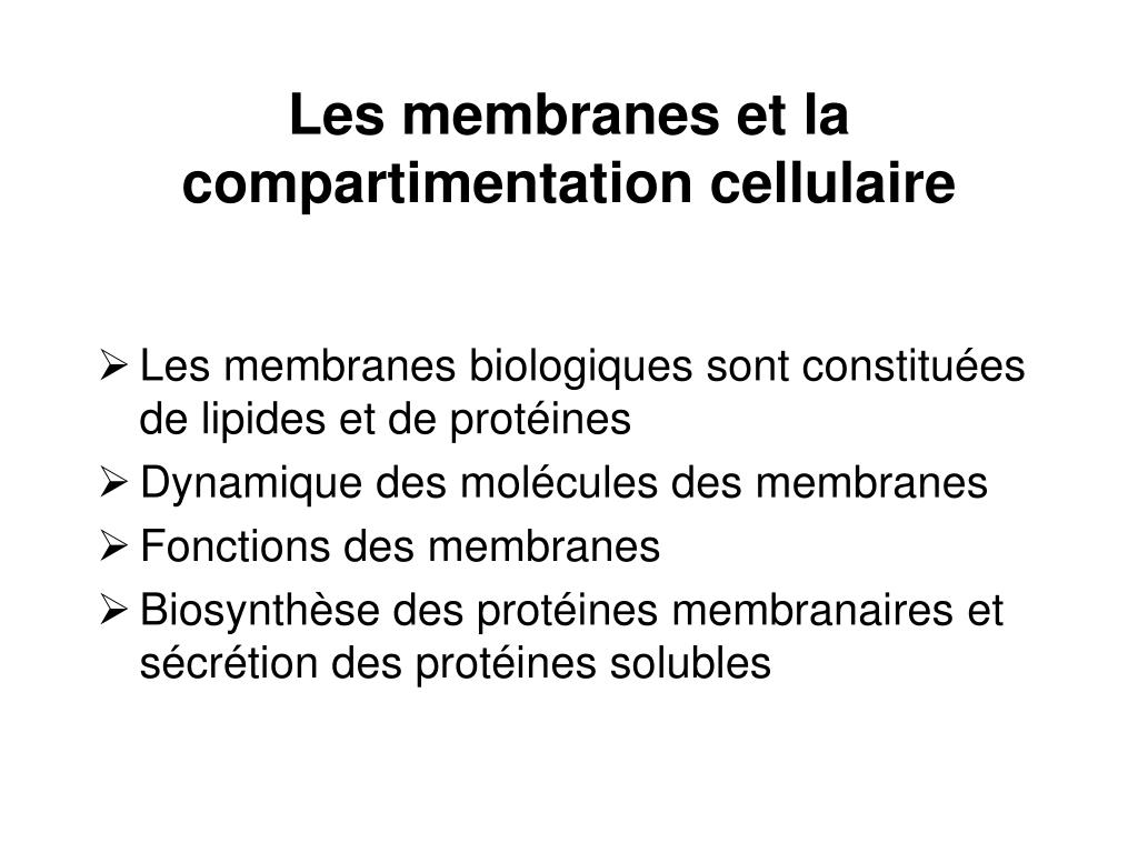 PPT - Les membranes et la compartimentation cellulaire PowerPoint ...