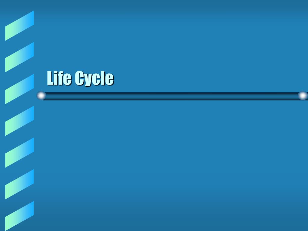 PPT - Life Cycle PowerPoint Presentation, free download - ID:675977
