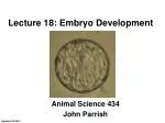 PPT - Development of a Chick Embryo PowerPoint Presentation, free ...