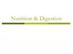 PPT - NUTRITION AND DIGESTION PowerPoint Presentation, free download ...