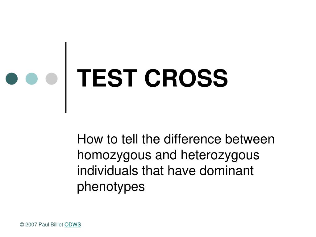 PPT - TEST CROSS PowerPoint Presentation, free download - ID:679264