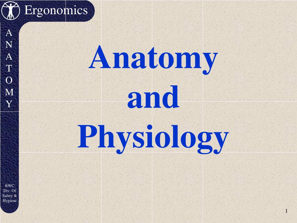 PPT - Anatomy and Physiology PowerPoint Presentation, free download ...