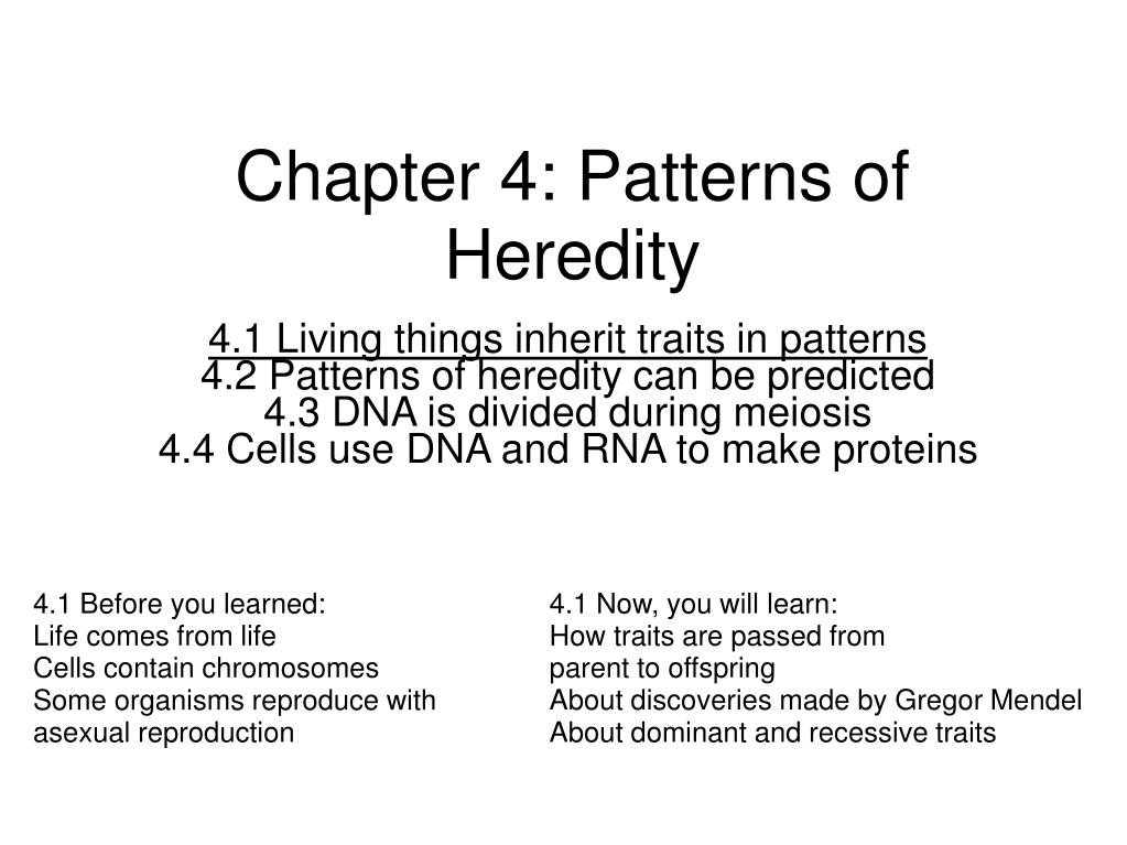 PPT - Chapter 4: Patterns of Heredity PowerPoint Presentation, free ...