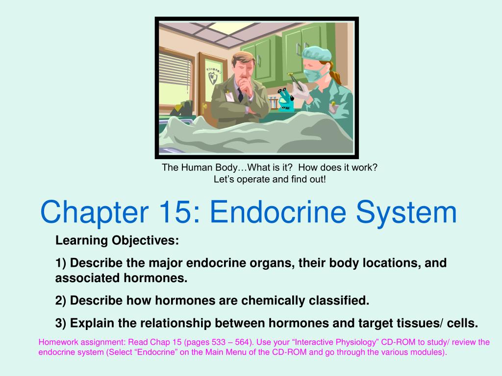 PPT - Chapter 15: Endocrine System PowerPoint Presentation, free ...
