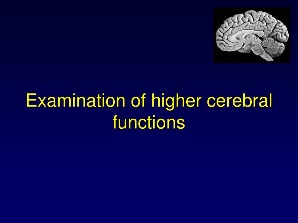 PPT - Examination of higher cerebral functions PowerPoint Presentation ...
