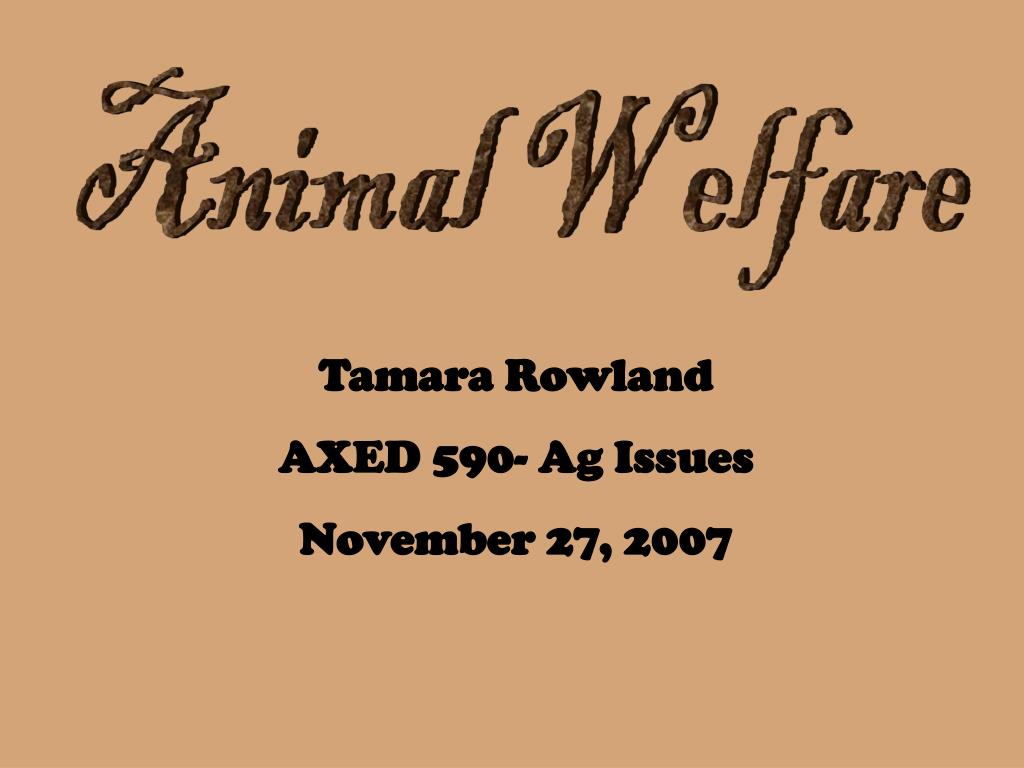 PPT - Animal Welfare PowerPoint Presentation, free download - ID:68118