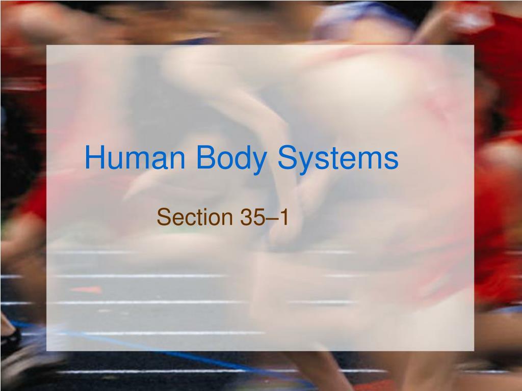 PPT - Human Body Systems PowerPoint Presentation, free download - ID:681806