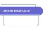 PPT - Complete Blood Count Test PowerPoint Presentation, free download ...