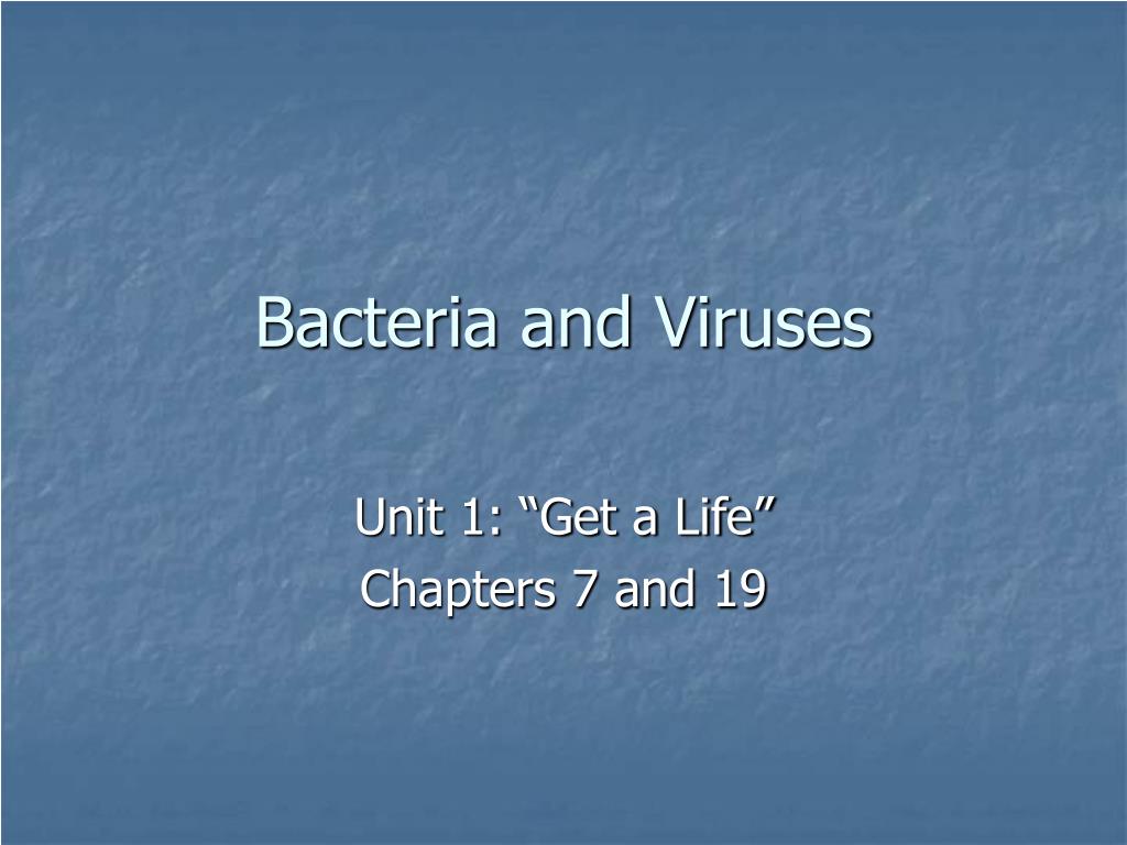 PPT - Bacteria and Viruses PowerPoint Presentation, free download - ID ...
