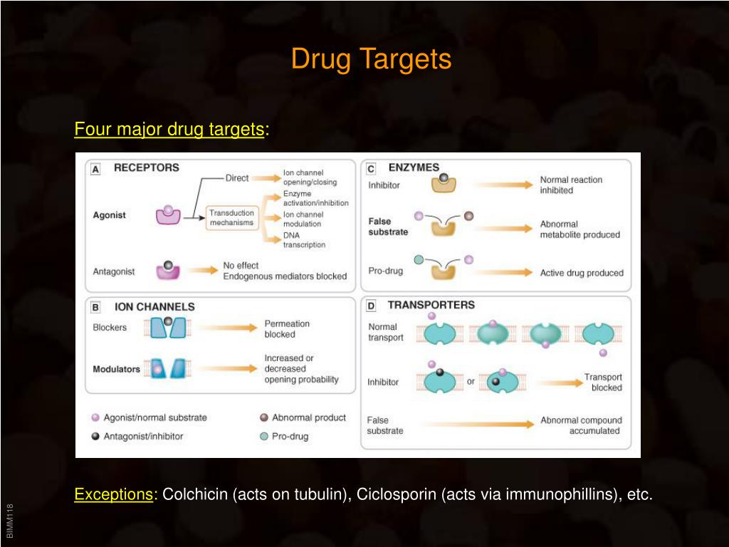 PPT - Drug Targets PowerPoint Presentation, free download - ID:687625