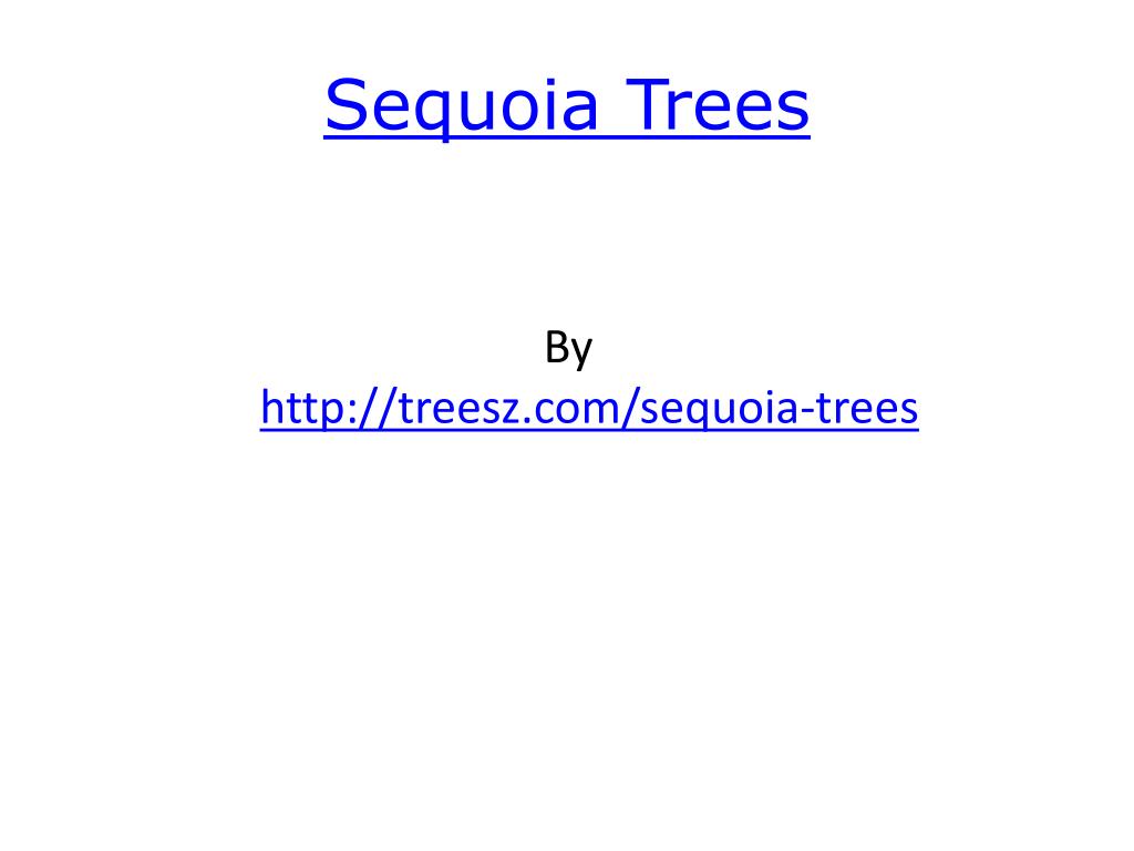 PPT - Sequoia Trees PowerPoint Presentation, free download - ID:688346