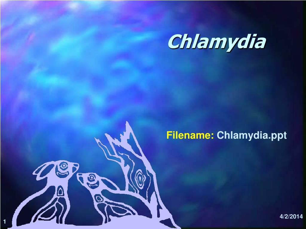 PPT - Chlamydia PowerPoint Presentation, free download - ID:688560
