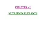 PPT - Nutrition in plants PowerPoint Presentation, free download - ID ...