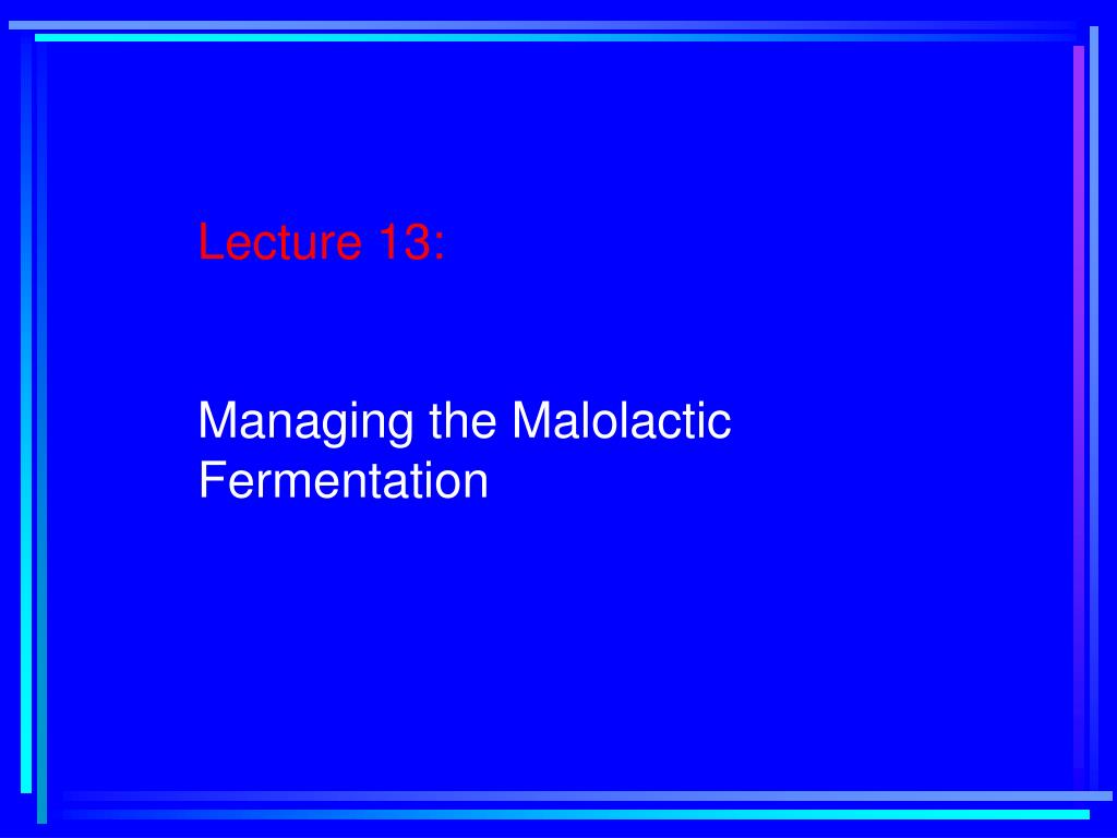 PPT - Lecture 13: Managing the Malolactic Fermentation PowerPoint Presentation - ID:690248