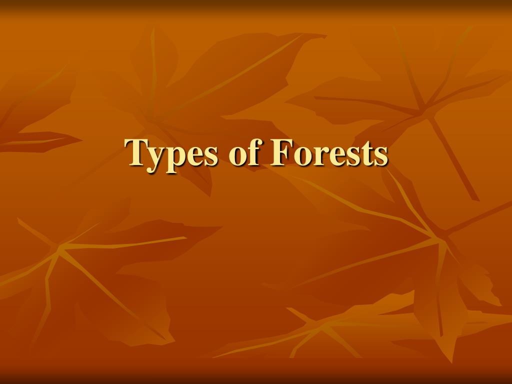 PPT - Types of Forests PowerPoint Presentation, free download - ID:698343