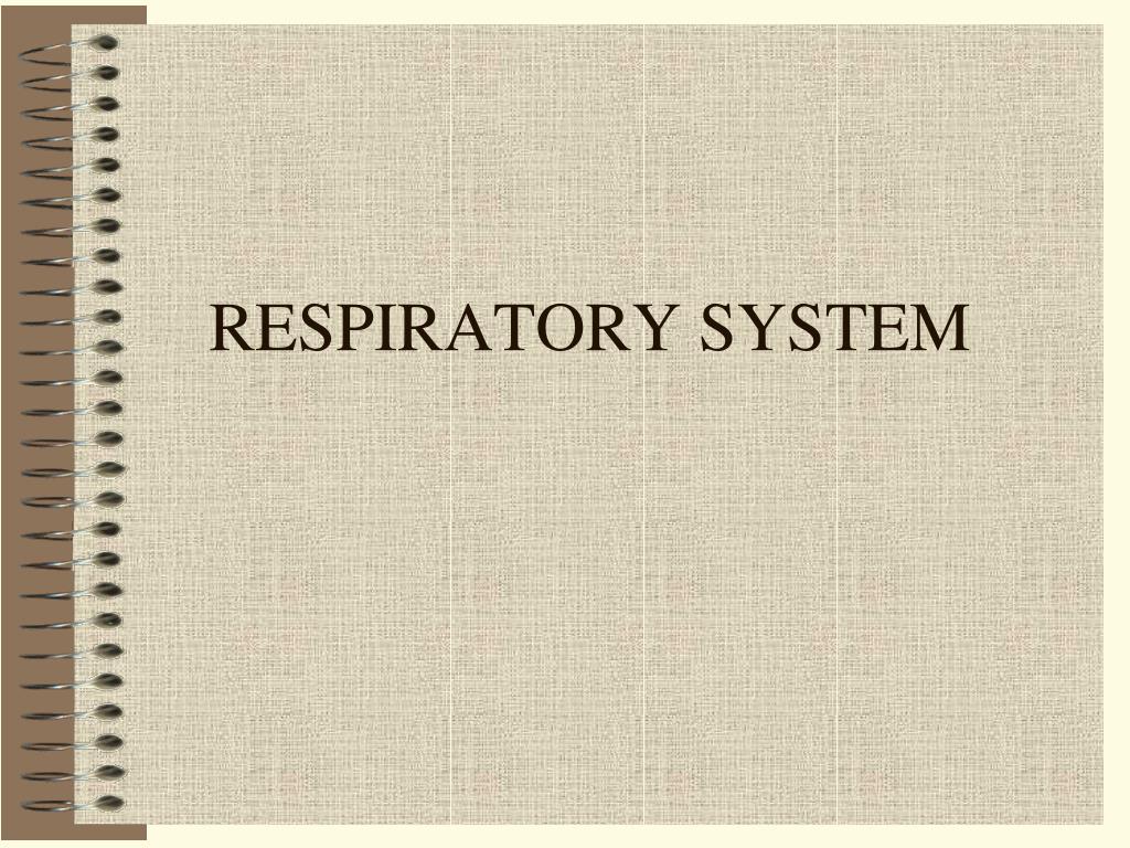 PPT - RESPIRATORY SYSTEM PowerPoint Presentation, free download - ID:698477