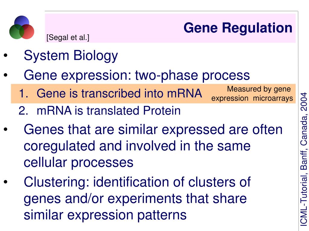 PPT - Gene Regulation PowerPoint Presentation, free download - ID:700154