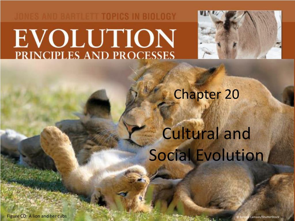 PPT - Chapter 20 Cultural and Social Evolution PowerPoint Presentation ...