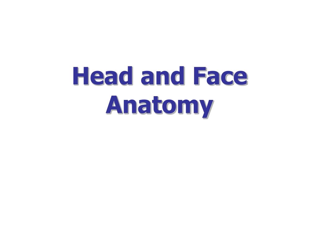 PPT - Head and Face Anatomy PowerPoint Presentation, free download - ID ...