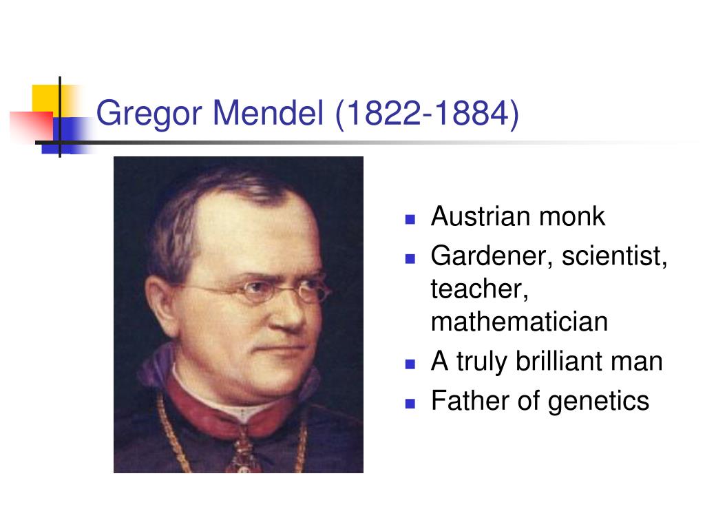 PPT - Gregor Mendel (1822-1884) PowerPoint Presentation, free download ...