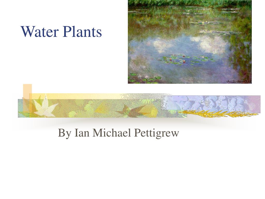 PPT - Water Plants PowerPoint Presentation, free download - ID:704781