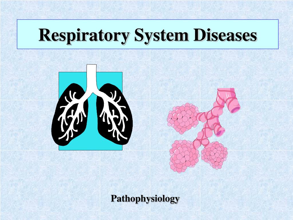 PPT - Respiratory System Diseases PowerPoint Presentation, free ...