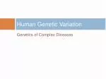 PPT - GENETIC VARIATION PowerPoint Presentation, free download - ID:2263050