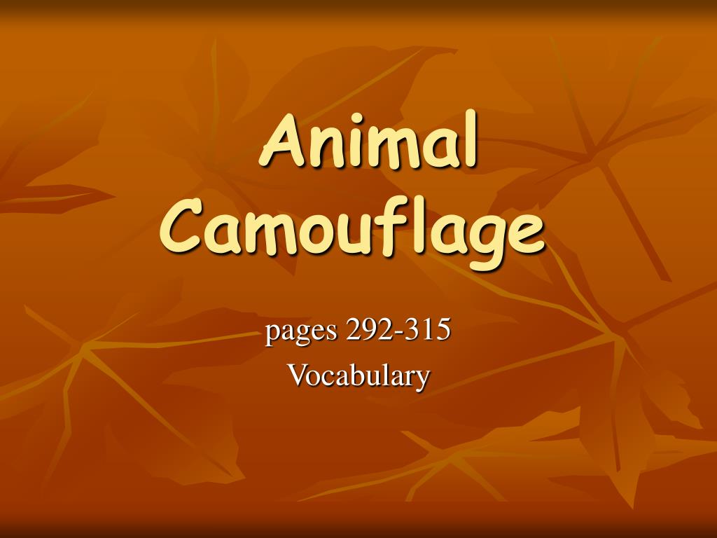 PPT - Animal Camouflage PowerPoint Presentation, free download - ID:709660