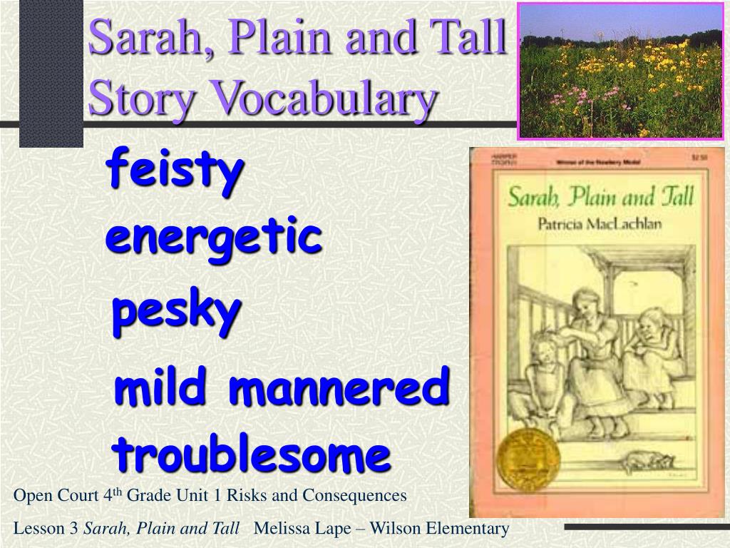 PPT - Sarah, Plain and Tall Story Vocabulary PowerPoint Presentation ...