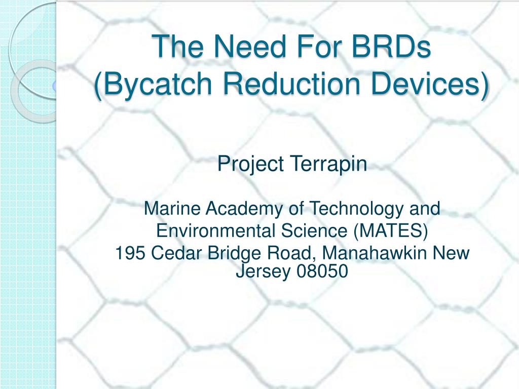 PPT - The Need For BRDs (Bycatch Reduction Devices) PowerPoint ...