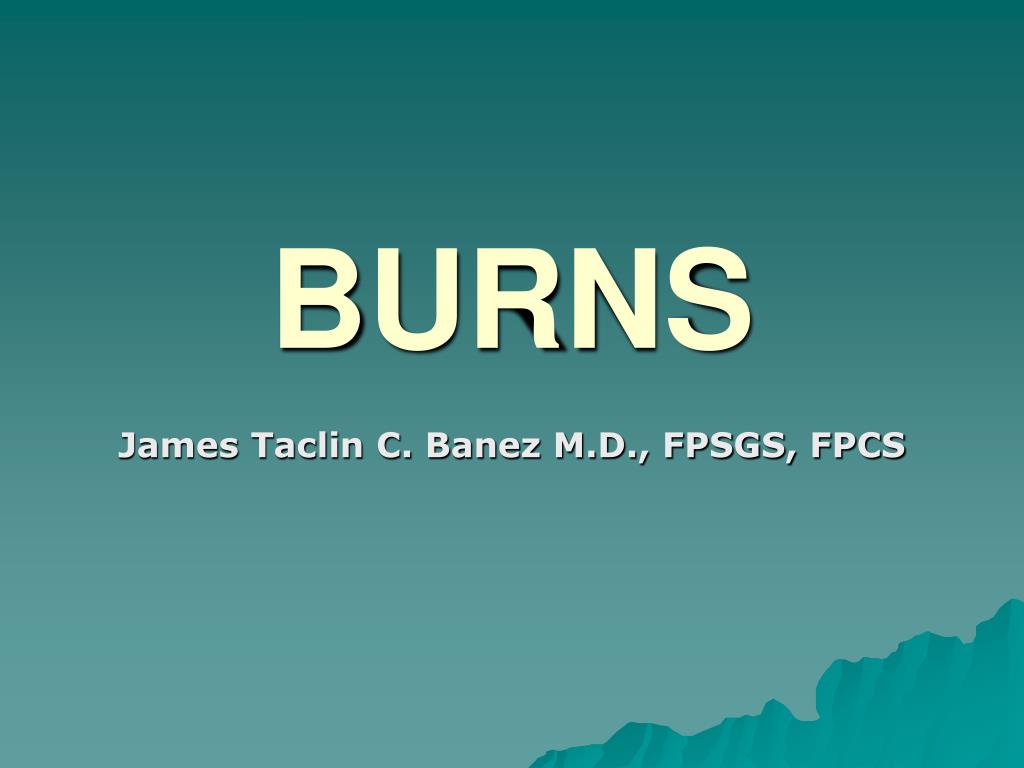 PPT - BURNS PowerPoint Presentation, free download - ID:712537