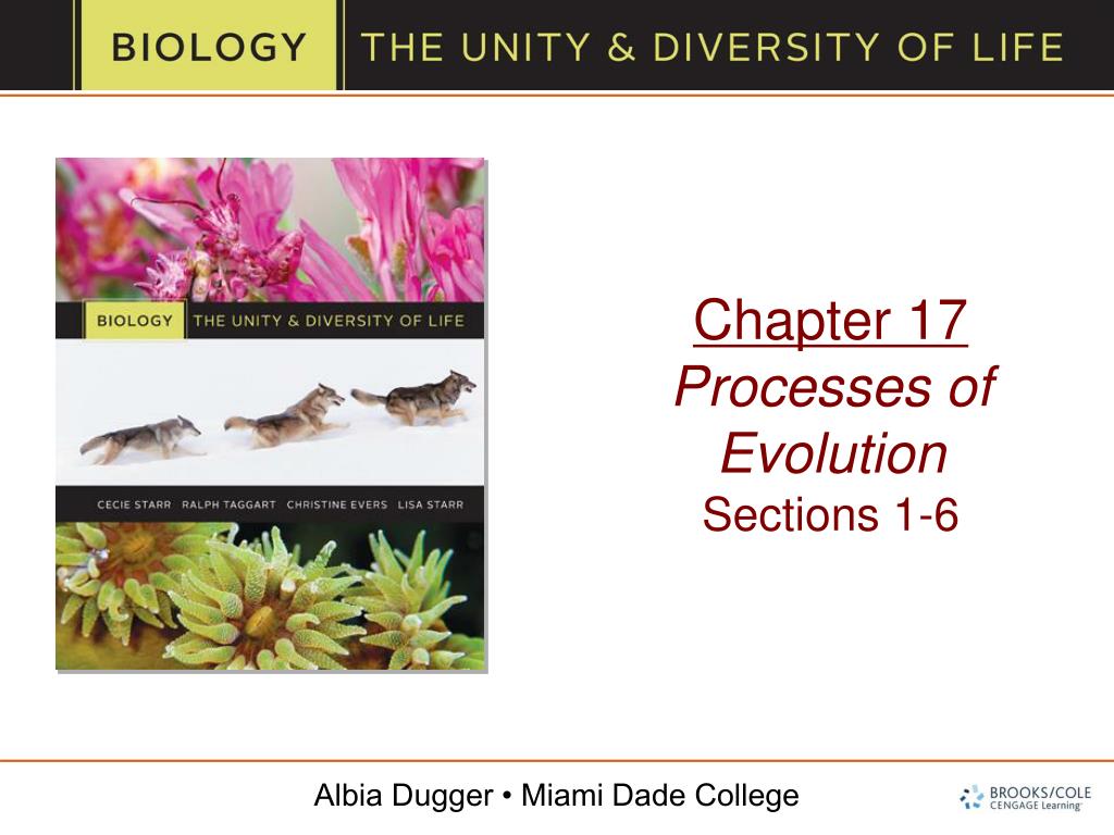 PPT - Chapter 17 Processes of Evolution Sections 1-6 PowerPoint ...