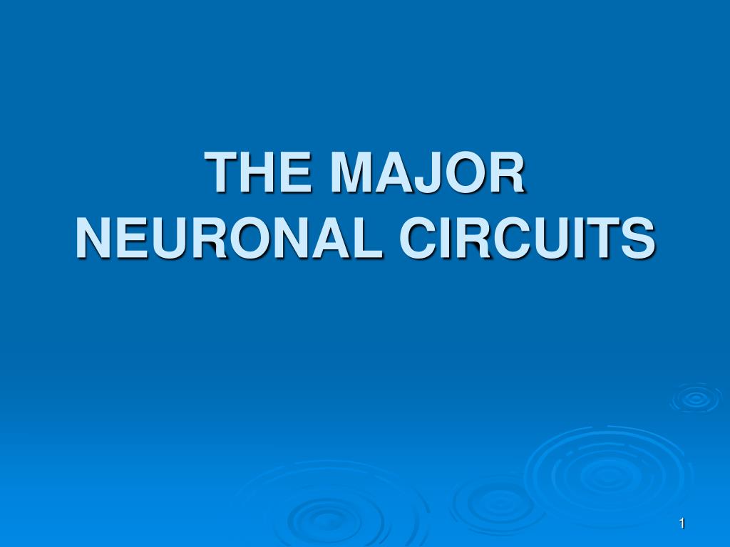 PPT - THE MAJOR NEURONAL CIRCUITS PowerPoint Presentation, free ...