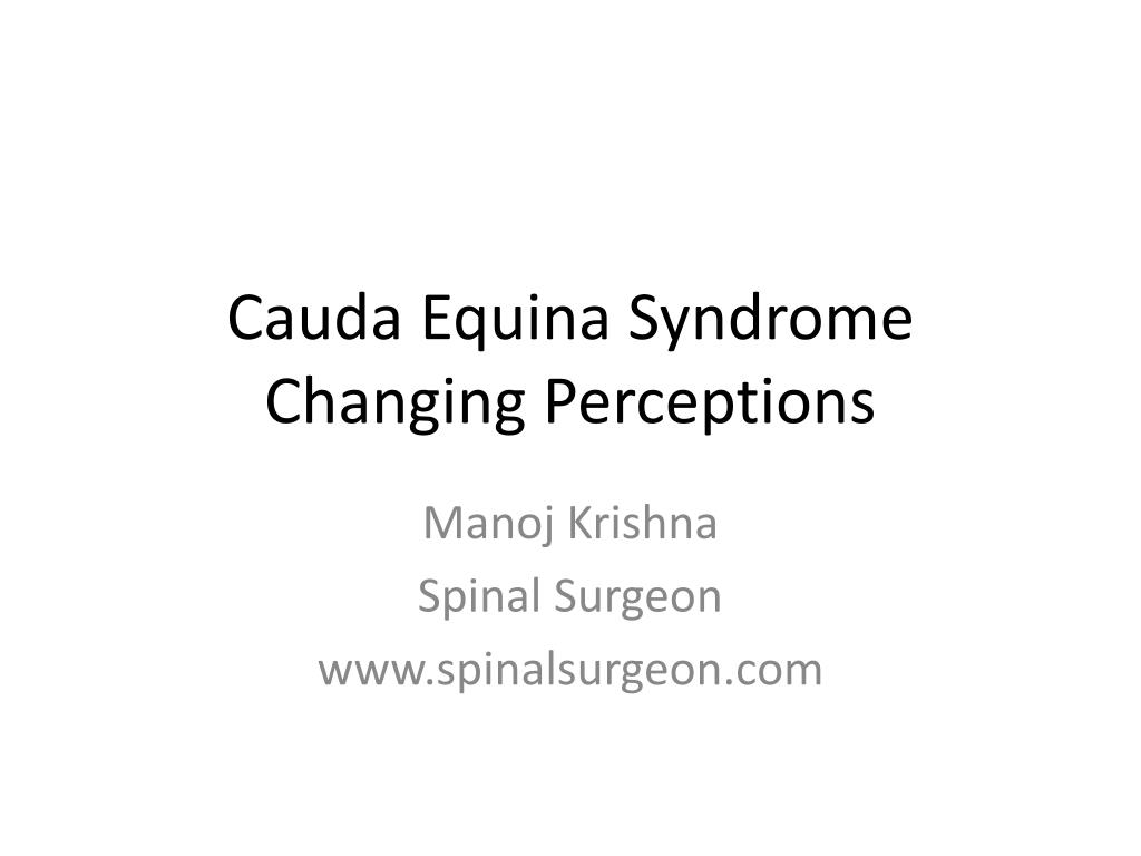 PPT - Cauda Equina Syndrome Changing Perceptions PowerPoint ...