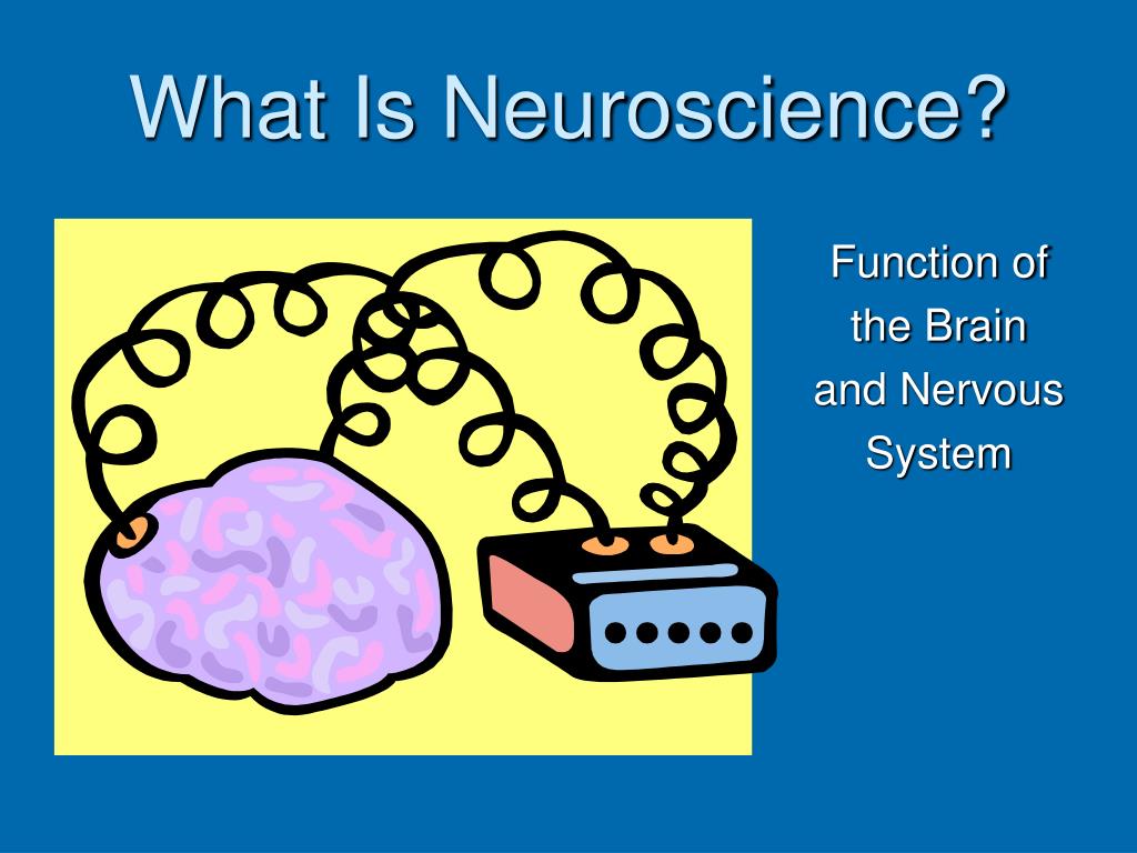 PPT - What Is Neuroscience? PowerPoint Presentation, free download - ID ...