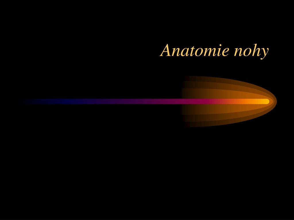 PPT - Anatomie nohy PowerPoint Presentation, free download - ID:721474