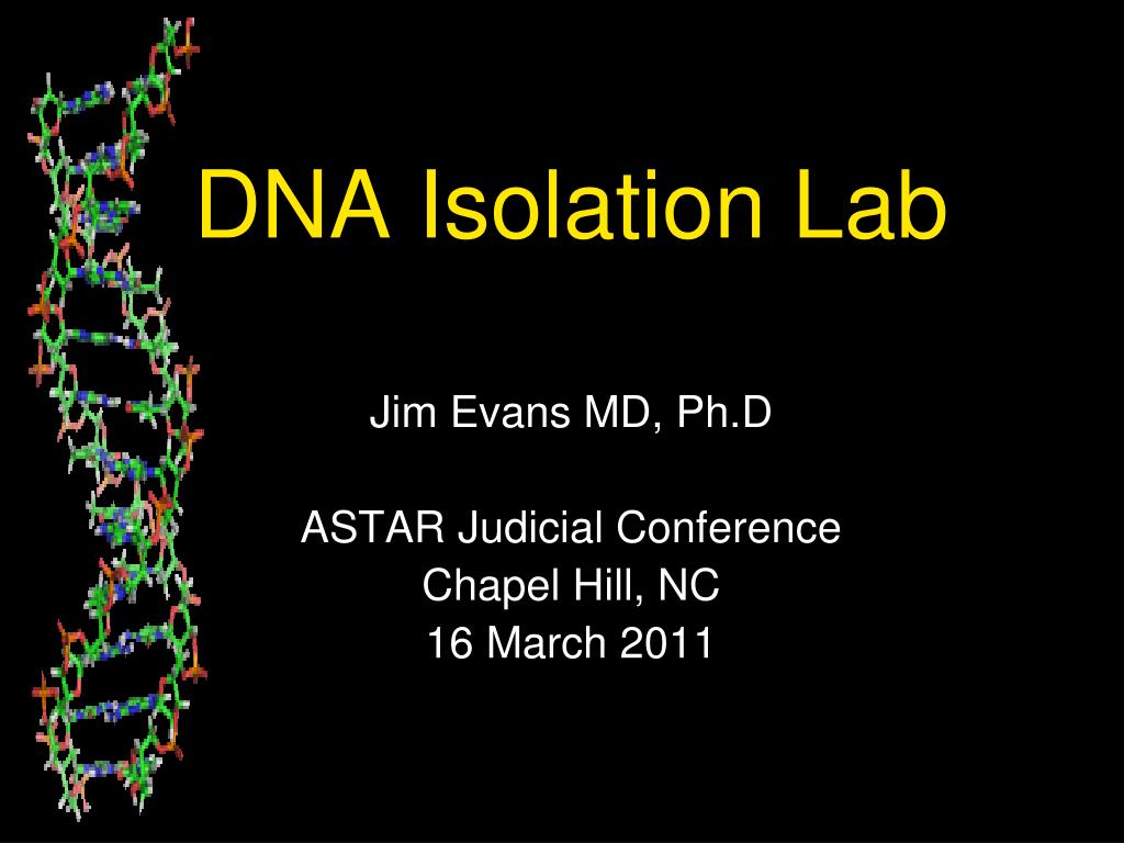 PPT - DNA Isolation Lab PowerPoint Presentation, free download - ID:724665